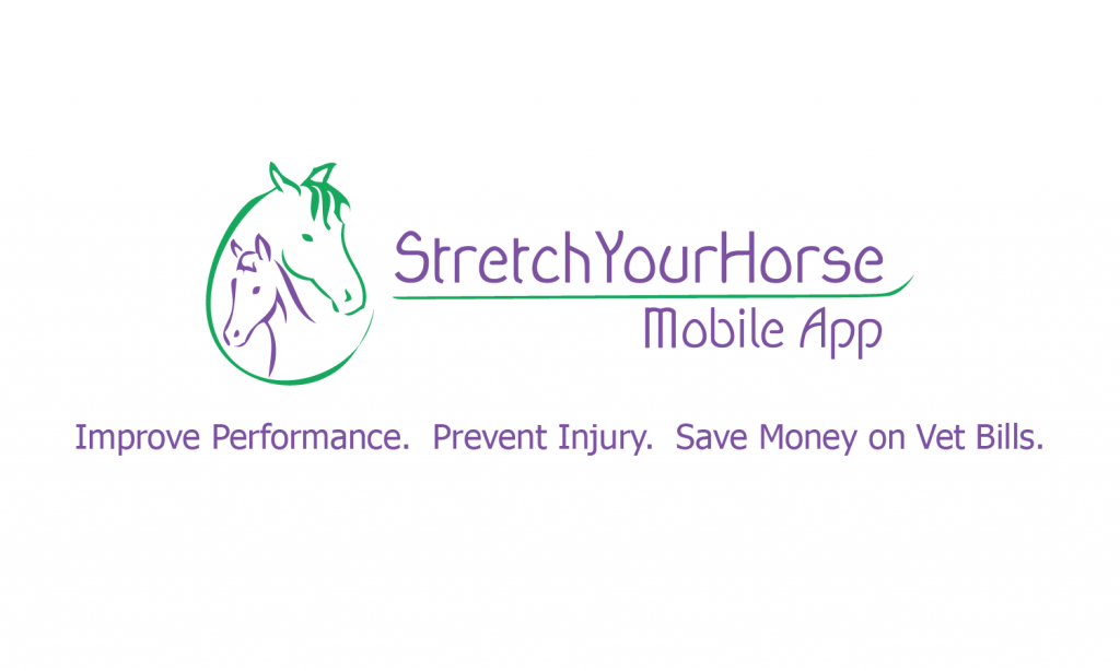 Stretch Your Horse « nwequine.com