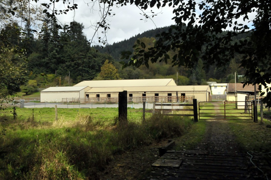 Cougar Mountain Stables « nwequine.com